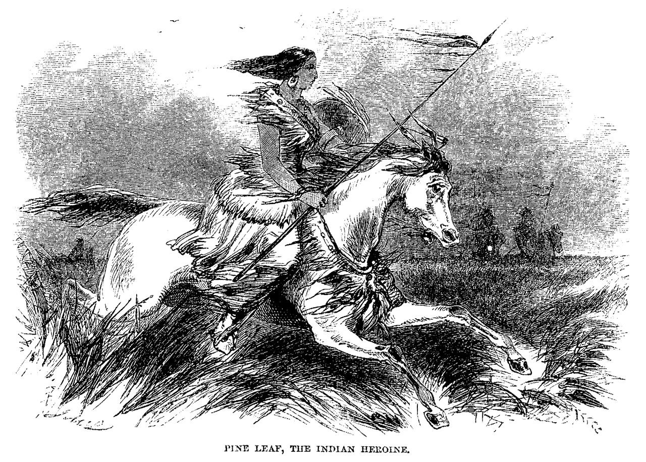 Bíawacheeitchish, Femme-Cheffe – L'Histoire par les femmes